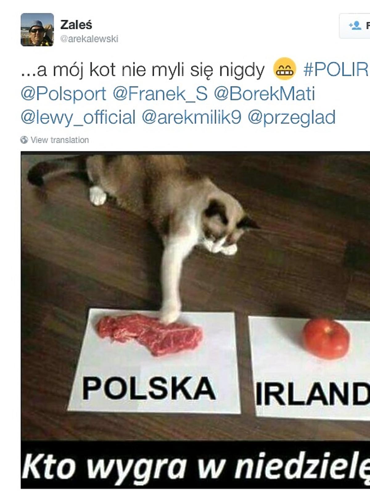Memy po meczu Polska-Irlandia