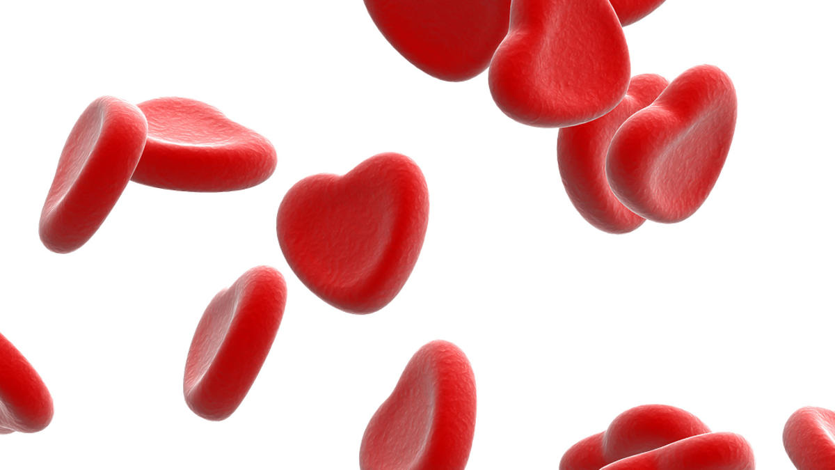 Czerwone krwinki, czyli erytrocyty: jakie pełnią funkcje