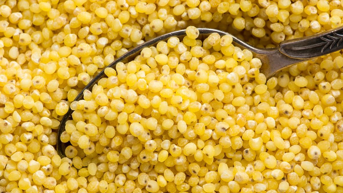 Kasza jaglana: właściwości i wartości odżywcze