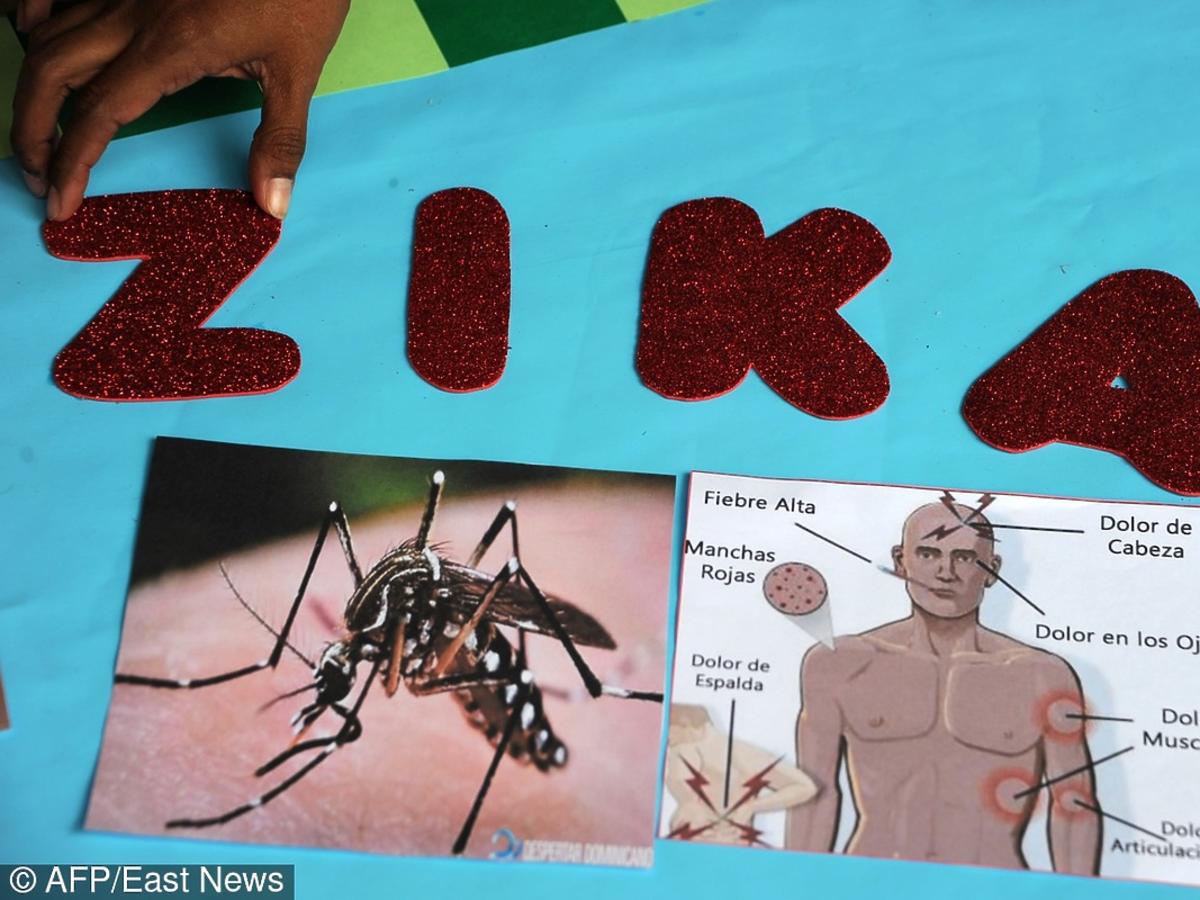 Pierwsze w Europie dziecko z matki zakażonej wirusem Zika