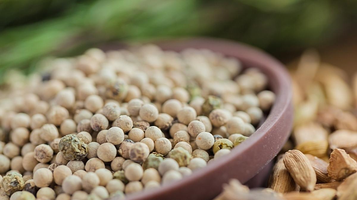 Kolendra: właściwości lecznicze i zastosowanie